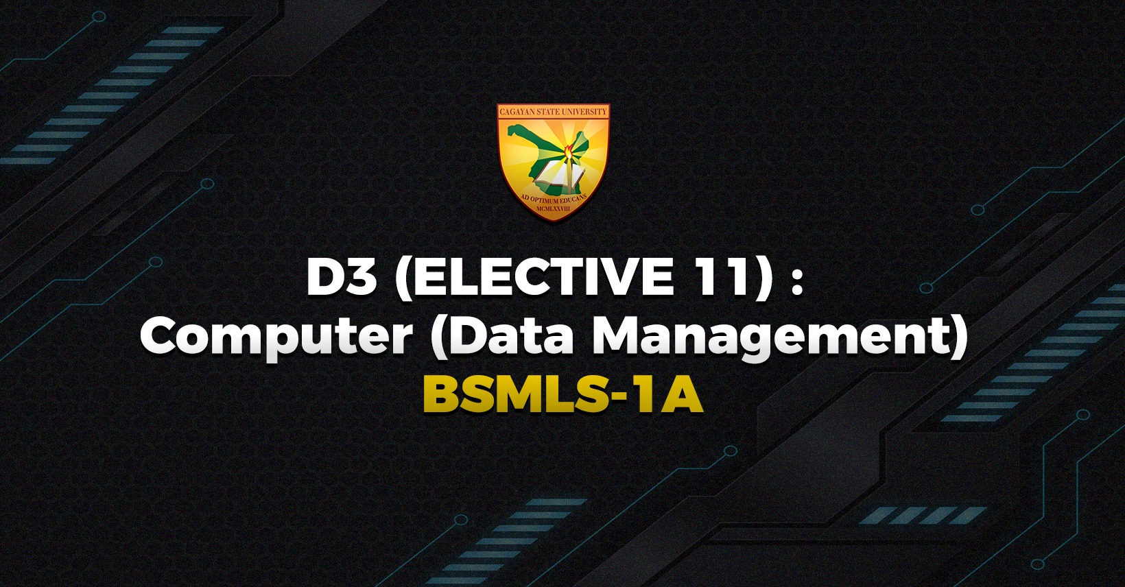 CSU-Andrews Learning Environment Network System