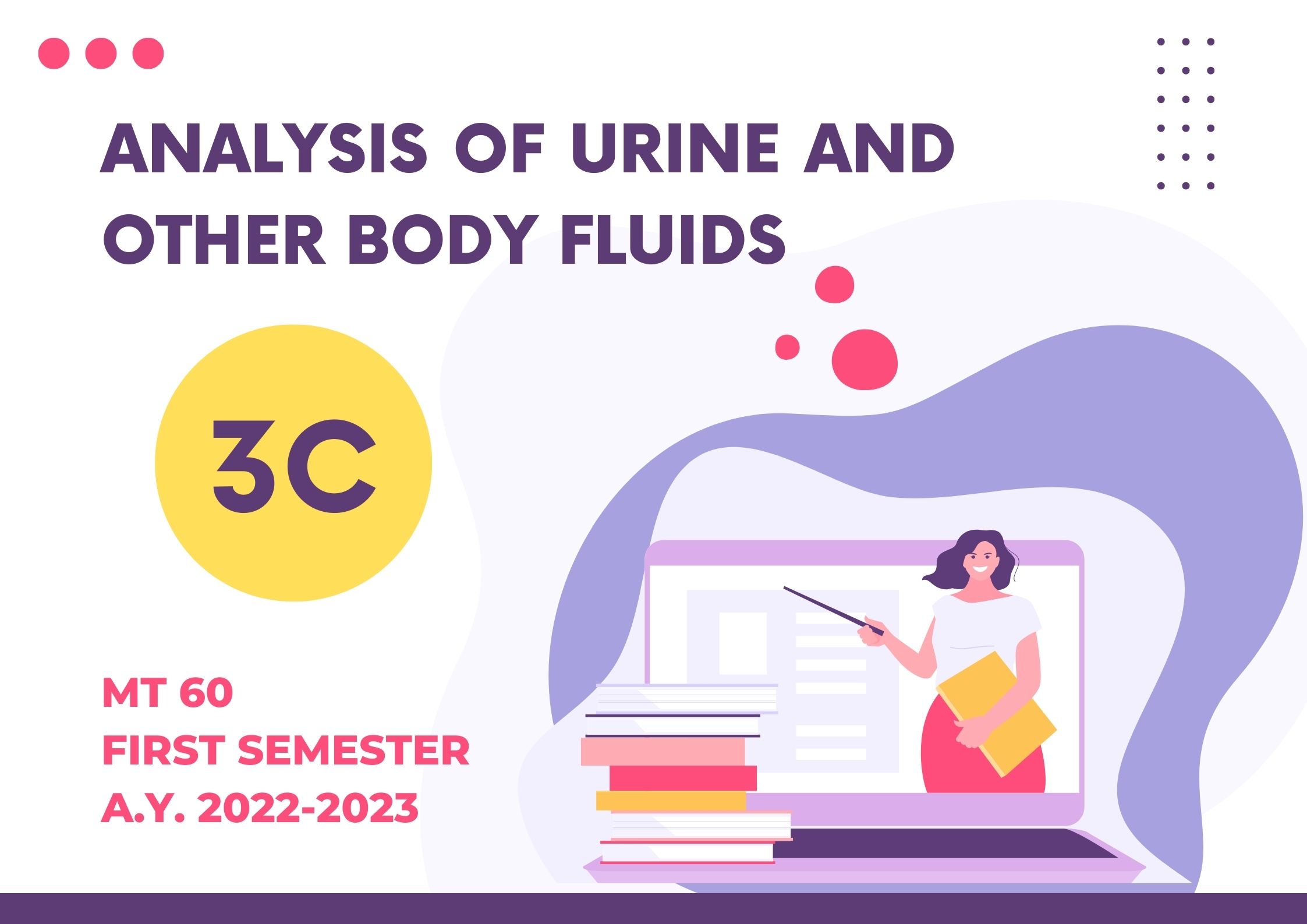 CSU-Andrews Learning Environment Network System