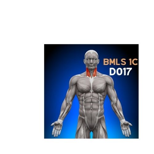 CSU-Andrews Learning Environment Network System