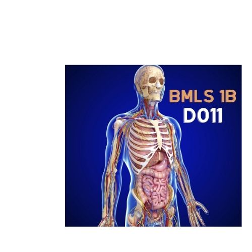 CSU-Andrews Learning Environment Network System