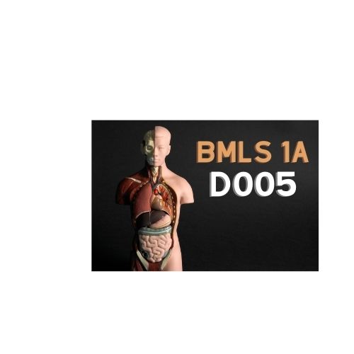 CSU-Andrews Learning Environment Network System